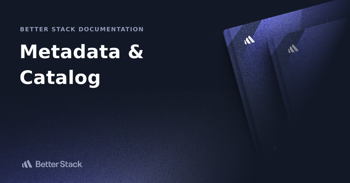 Metadata & Catalog | Better Stack Documentation